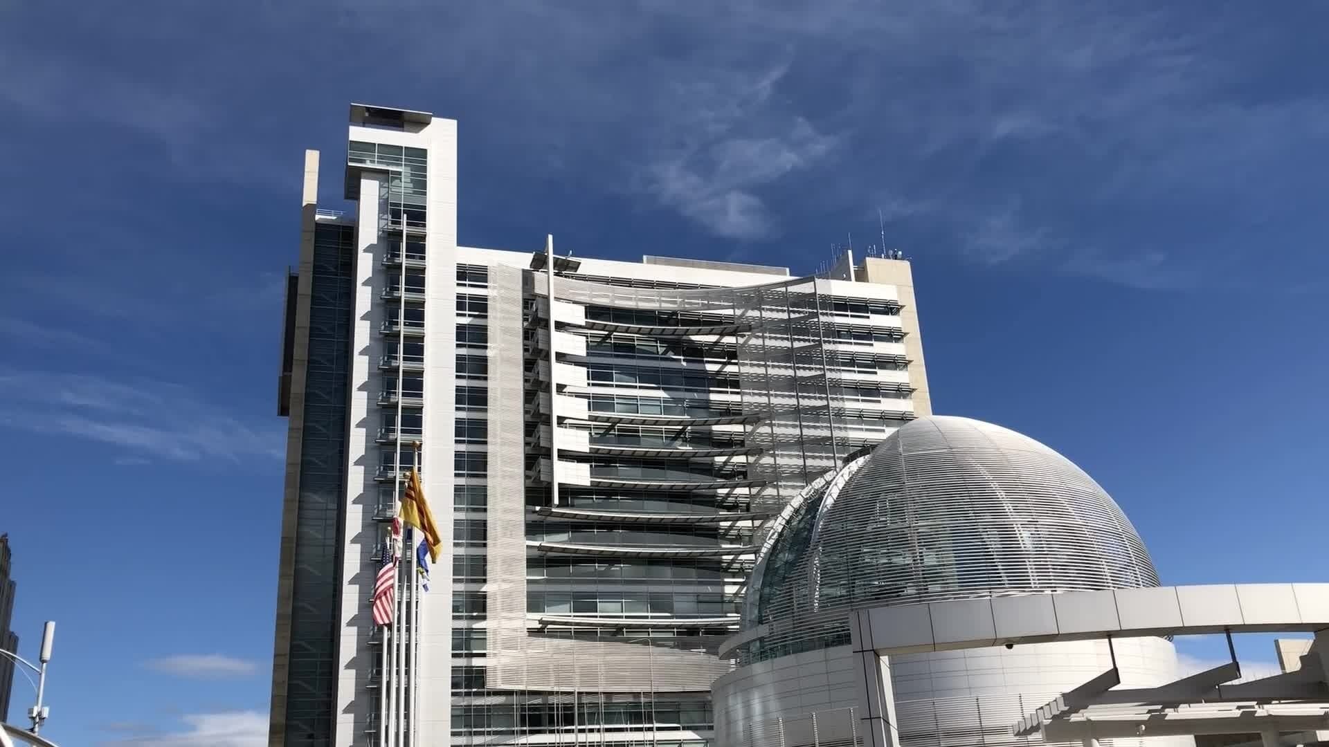 Vietnamese Heritage Flag Emoji Proposal: Community Effort and the Role ...